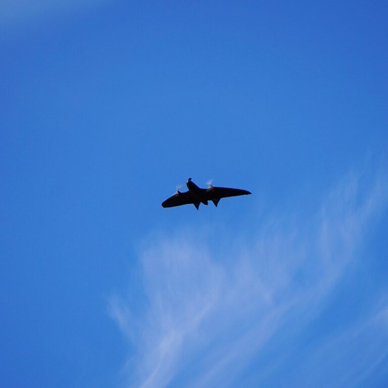 Sony ILX-LR1 61 Mp drone mapping camera | Aeromao